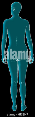 Female, Full Posterior View Stock Photo - Alamy