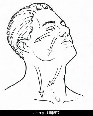 Direction of Lymph Flow Stock Photo - Alamy