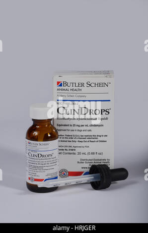 Pet Medicine, Clindamycin Hydrochloride Drops Stock Photo - Alamy