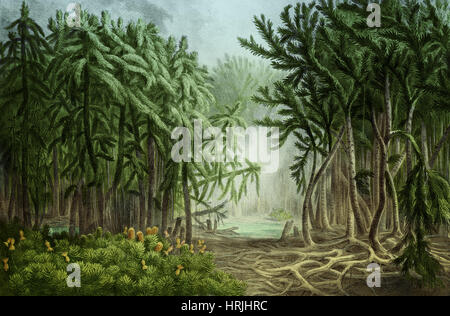 Prehistoric, Devonian Landscape Stock Photo: 135012622 - Alamy