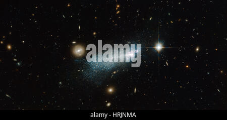 Blue Compact Dwarf Galaxy Stock Photo - Alamy