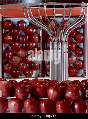 Food Irradiation, Apples Stock Photo - Alamy