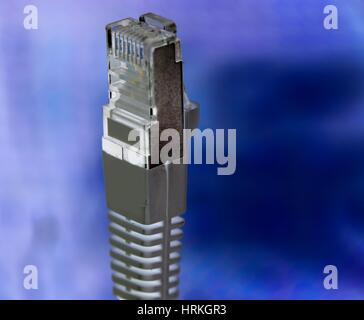 Close-up of an RJ45 connector Stock Photo - Alamy