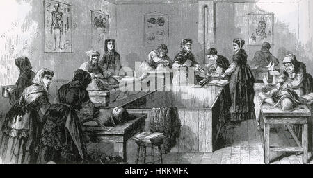 Anatomy Class Dissection, Female Medical Student Stock Photo - Alamy