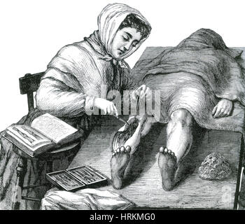 Anatomy Class Dissection, Female Medical Students Stock Photo - Alamy