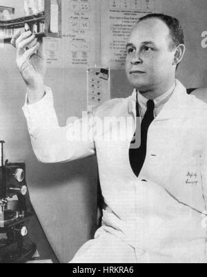 Charles R. Drew, American Surgeon and Reseacher Stock Photo - Alamy