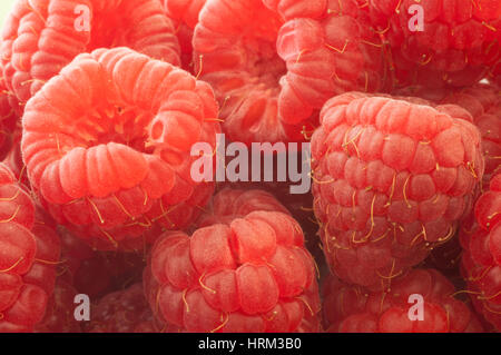 beautiful details of raspberry in studio Stock Photo - Alamy