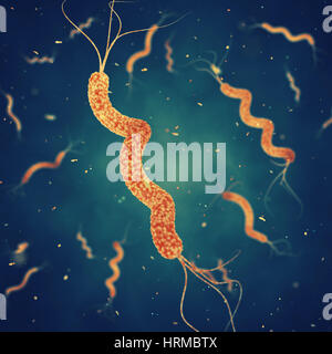 Spirillum bacteria , Infection , Germs , Epidemic bacterial disease ...