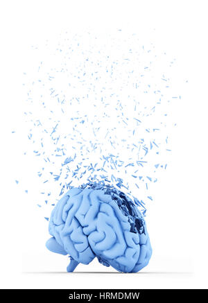 Shattered human brain. Stress concept. Isolated Stock Photo - Alamy
