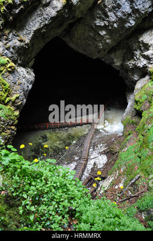 Scărișoara Cave entrance, Romania Stock Photo - Alamy