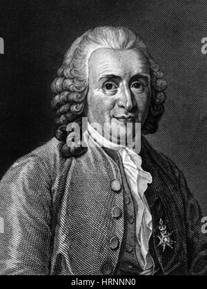 Carl Linnaeus, Swedish Botanist, Father of Modern Taxonomy Stock Photo ...