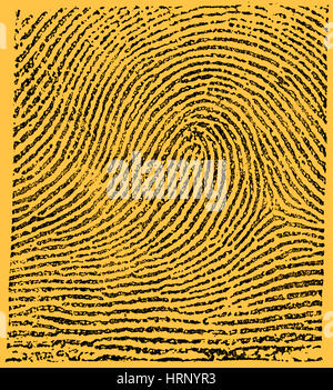 Typical Loop Pattern, 1900 Stock Photo - Alamy