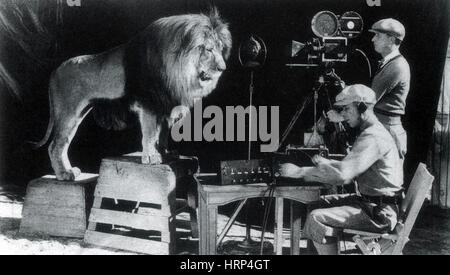 Metro Goldwyn Mayer. MGM Studios Plaza. Leo the Lion mascot. Clifton ...
