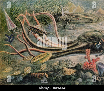 Paleozoic Era, Prehistoric Marine Fauna Stock Photo - Alamy