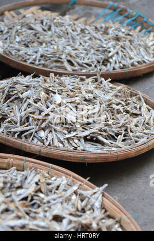 Many Dried salt Small fish background texture Stock Photo - Alamy