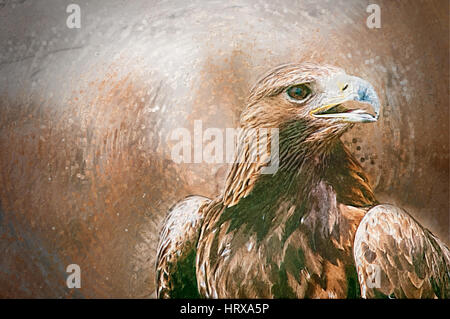Hand drawn hawk portrait, sketch graphics monochrome illustration on ...