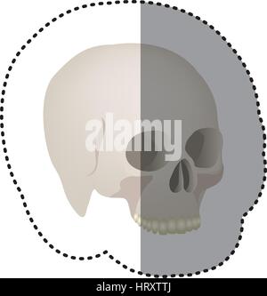 side view realistic human skull icon Stock Vector Image & Art - Alamy