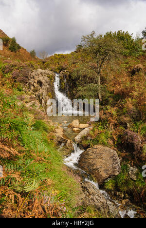 A small mountain stream in Cwm Bychan near Beddgelert in the Snowdonia ...