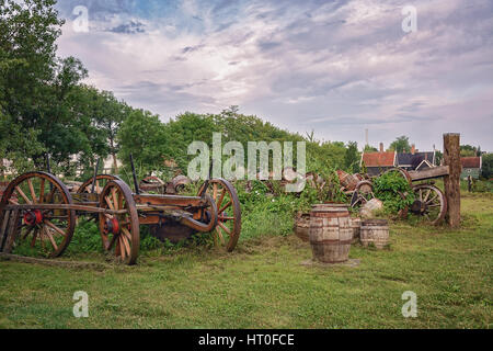 Dump old things overgrown with ivy Stock Photo - Alamy
