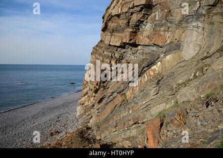 Chevron folds of sandstone and shale rock layers in Millook Haven ...