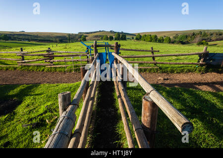 Farm rural cattle animal pen corral with wood poles mountain landscape ...