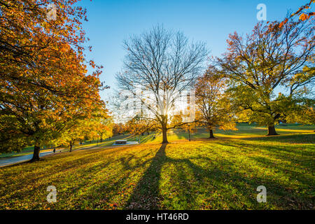 Autumn color at Patterson Park, in Baltimore, Maryland Stock Photo - Alamy