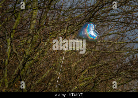 Balloons Stuck in a Tree Stock Photo: 141878836 - Alamy