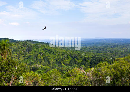 A panoramic view of Las Terrazas in Pinar del Rio province, Cuba Stock ...