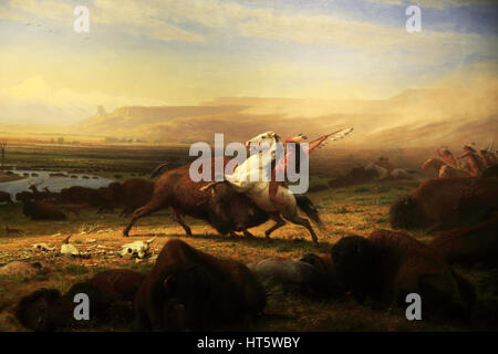 The Last of the Buffalo by American Painter Albert Bierstadt display in ...