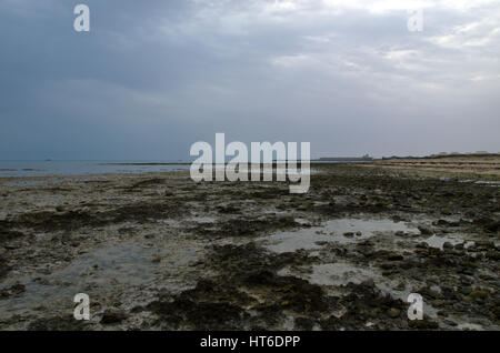 Beautiful Rocky beach of Al Ghariyah, Qatar Stock Photo - Alamy