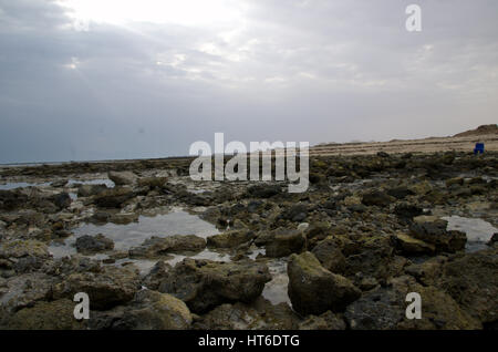 Beautiful Rocky beach of Al Ghariyah, Qatar Stock Photo - Alamy