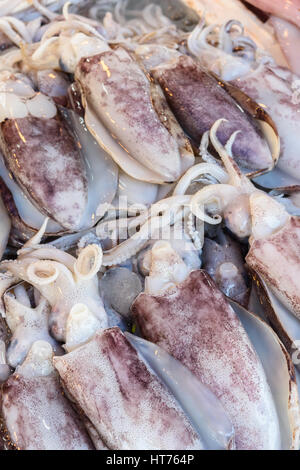 fresh seafood - raw fresh squid seafood at the thai market , Cuttlefish ...