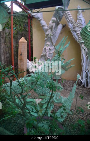 Hotel Deep forest garden, Puerto Princesa, Palawan, Philippines Stock ...