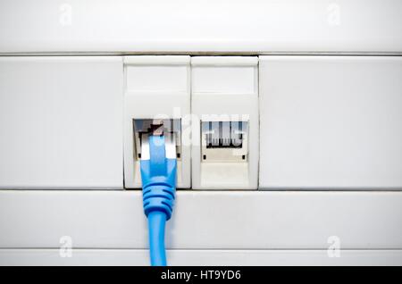Ethernet port wall socket with 3 ethernet plug connections in vector ...
