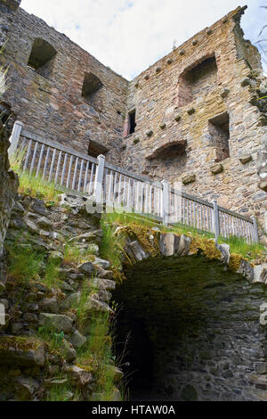 Castle ruin ( Wolf of Badenoch) on Loch an Eilein, Rothiemurchus ...