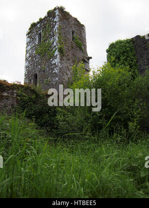 Castletownroche County Cork Bridgetown Abbey limestone gorge Stock ...