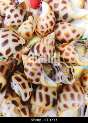 Steamed shells on dish for street food in Vietnam Stock Photo - Alamy