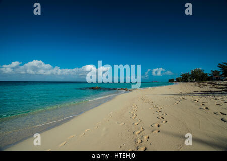 Beaches of Bimini , Bimini, Bahamas Stock Photo - Alamy