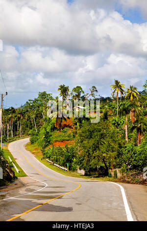 Caribbean, Trinidad. Tropical jungle landscape with hibiscus flowers ...