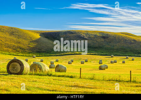 Foothills in Alberta with golden fields and hay bales and Canadian ...
