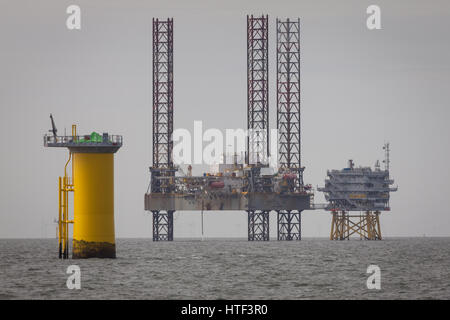 The Atlantic Amsterdam jacked up next to the first Race Bank Offshore ...