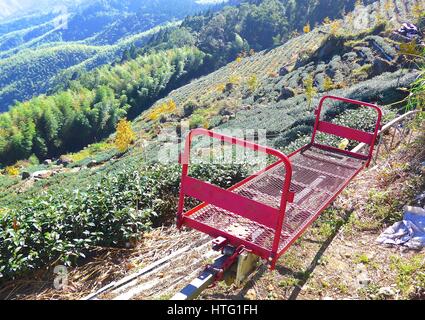 Tea van closeup in Taiwan Stock Photo - Alamy