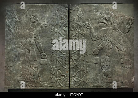 Assyrian winged genies. Assyrian relief from the Northwest Palace of ...