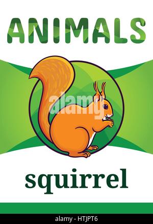 Flashcard with word squirrel illustration Stock Vector Image & Art - Alamy