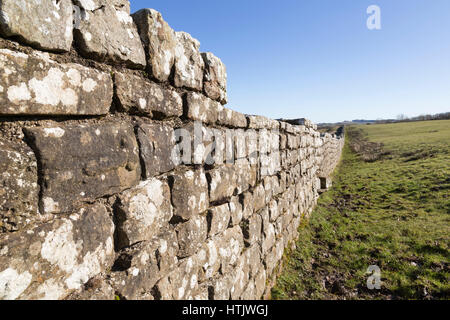 A phallic symbol cut into one of the stones of Hadrian's Wall, near ...