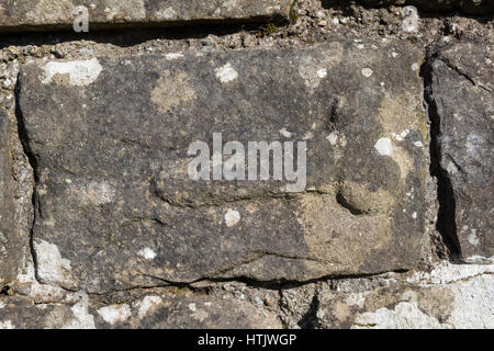 A phallic symbol cut into one of the stones of Hadrian's Wall, near ...