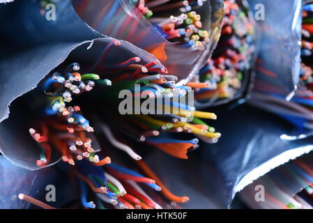 Colored copper telecommunication cables closeup Stock Photo - Alamy