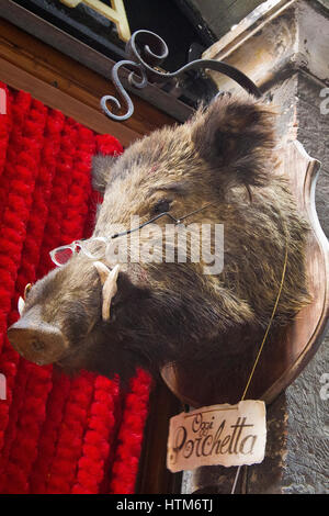 Stuffed and mounted boars head on display at an Essex Market stall ...