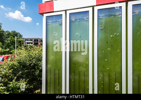 Details, bioreactor facade, BIQ, algae building, IBA, Internationale ...