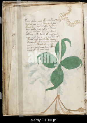 The Voynich Manuscript is an ancient, illustrated codex written in an ...
